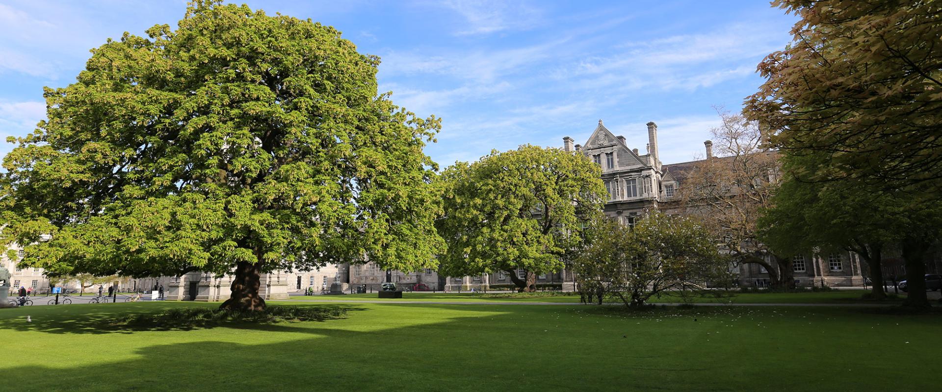 Daniel J. Borello | Financial Planner | James T. Borello & Co