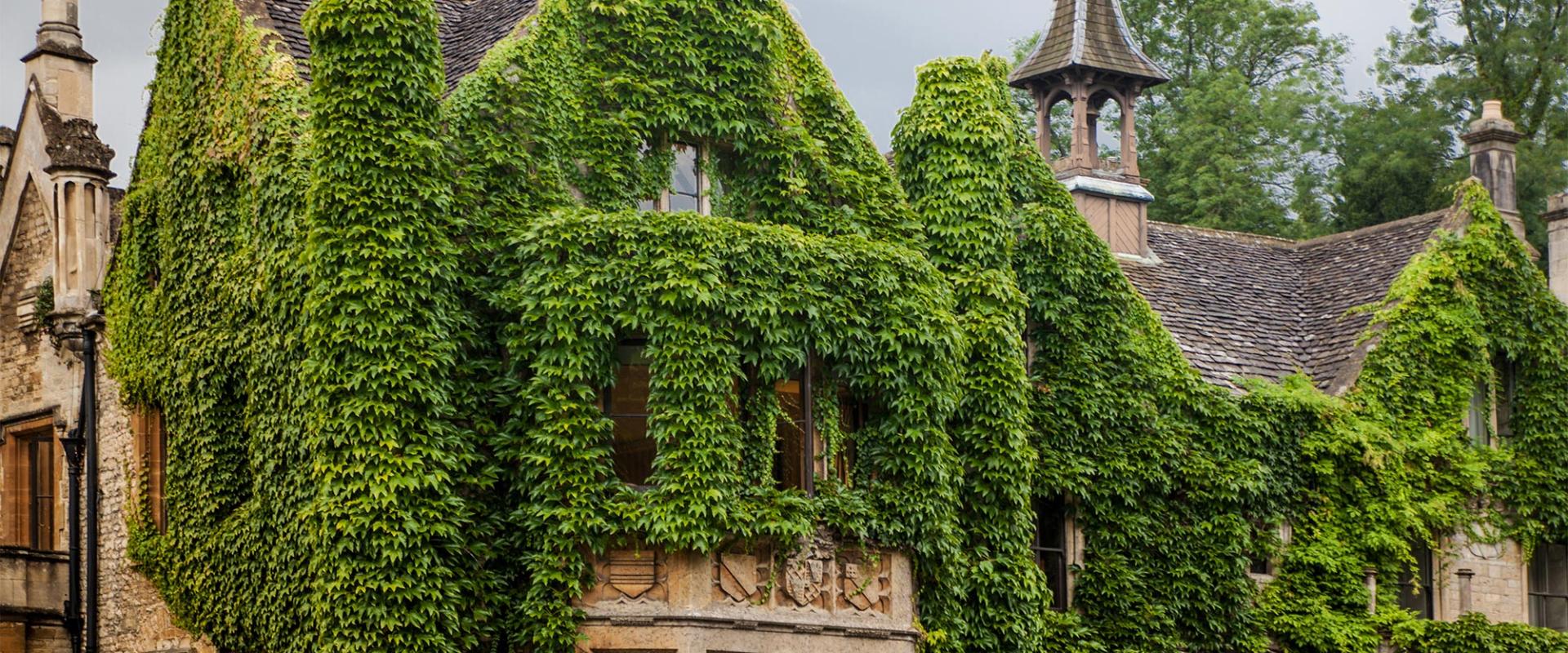 Investment Plans & Services | James T. Borello & Co IL